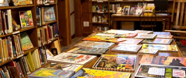 About the Lake Placid Public Library on Mirror Lake